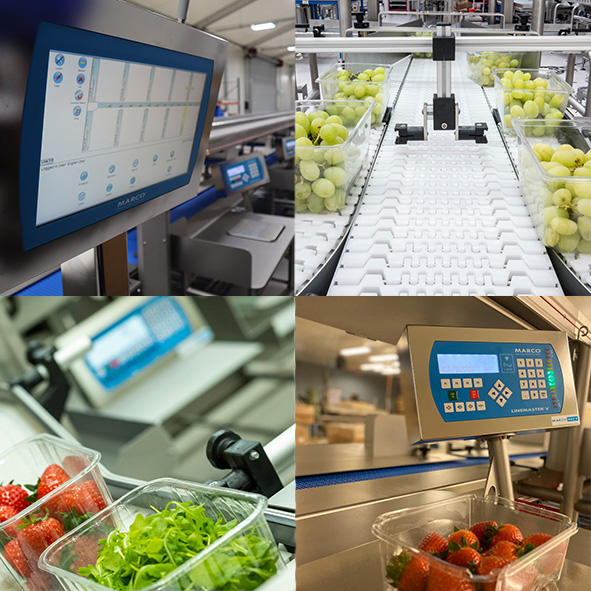 Home - MARCO Limited